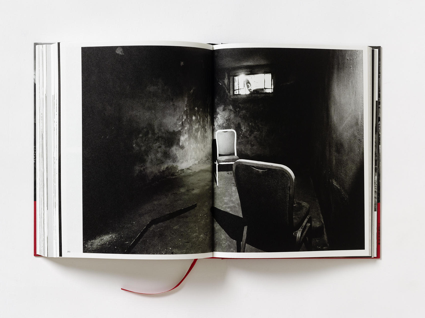 Rising Among Ruins, Dancing amid Bullets – Maryam Ashrafi - Hemeria