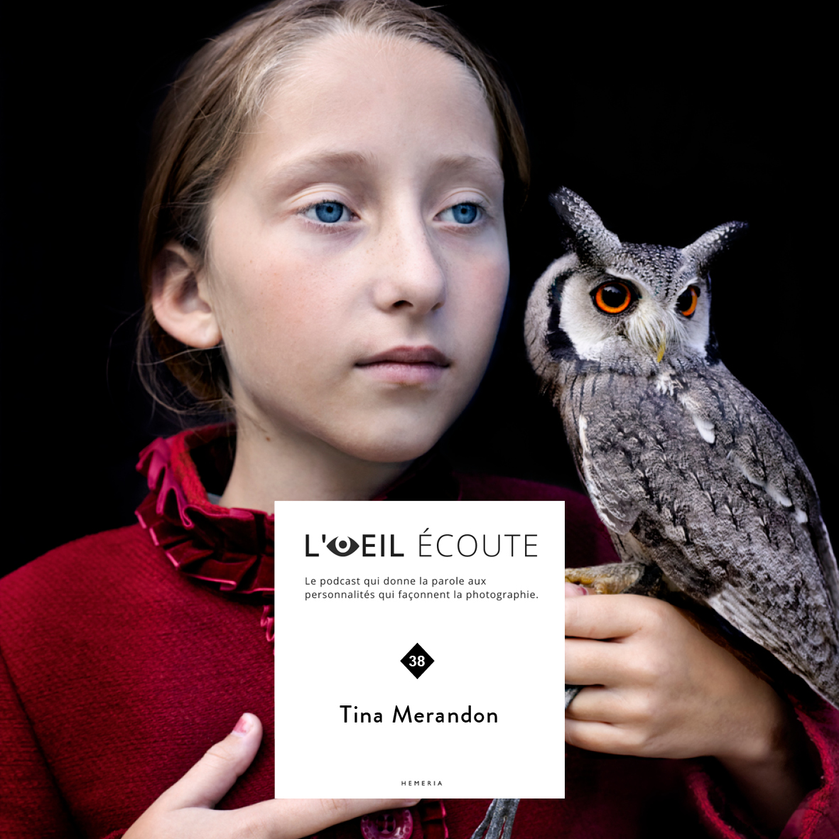 Podcast « L’Œil écoute » #38 |Tina Merandon, photographe animaliste ? - Hemeria